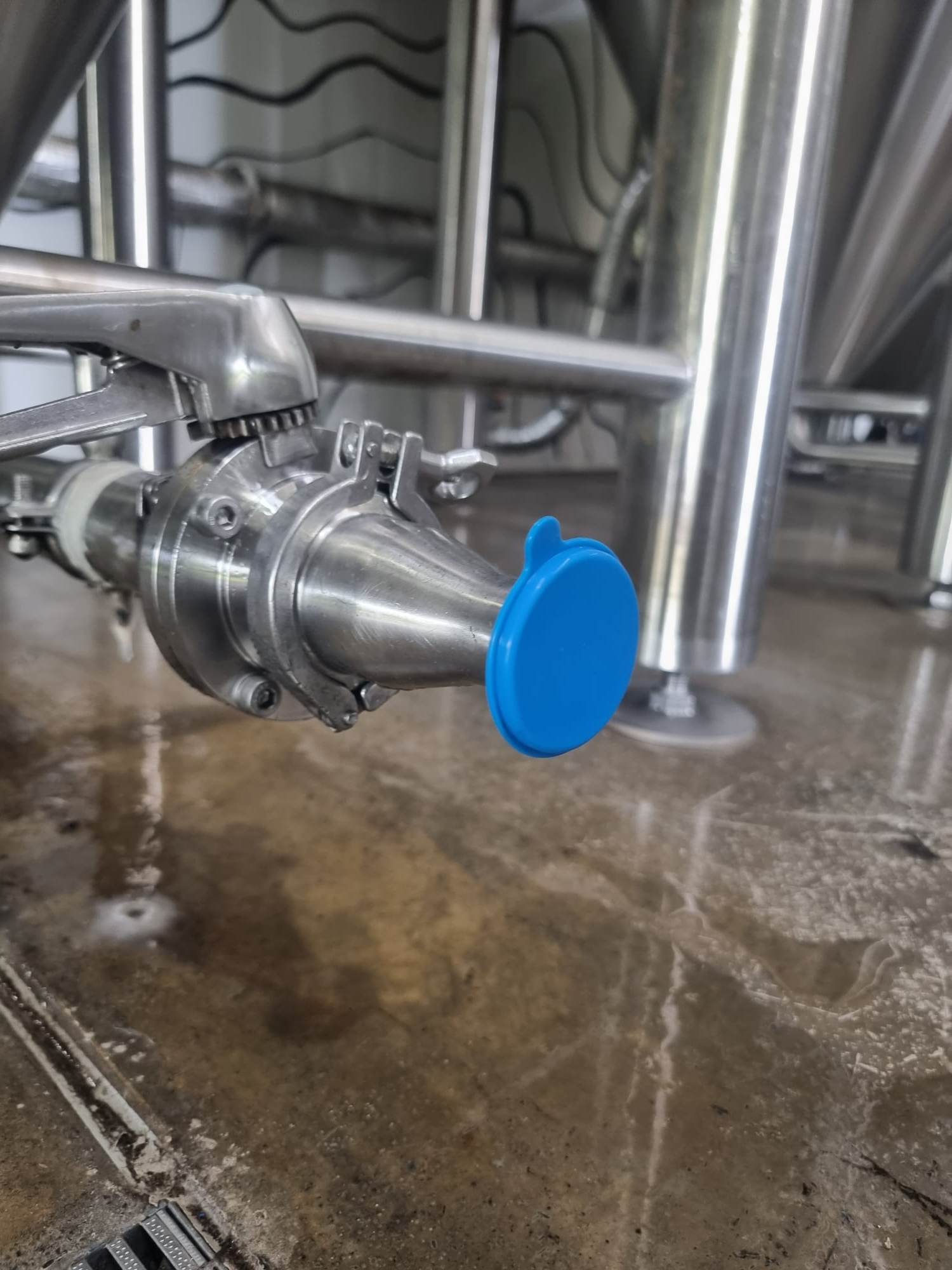 Terella Brewing